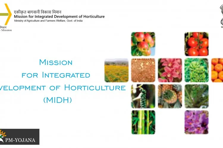 Mission for Integrated Development of Horticulture (MIDH) - PM Yojana